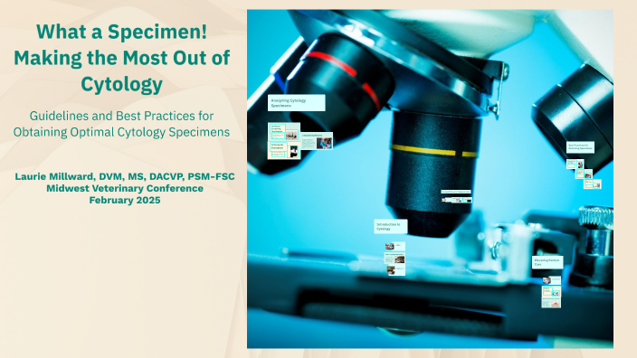 What a Specimen! Making the Most Out of Cytology by Laurie Millward on ...