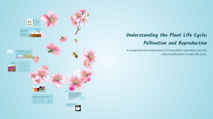 Understanding the Plant Life Cycle: Pollination and Reproduction by ...