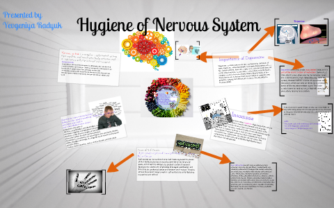 Hygiene of nervous system by Radyuk Yevgeniya on Prezi