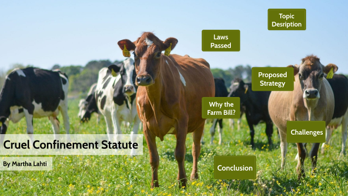 Farm Animal Rights by martha lahti on Prezi