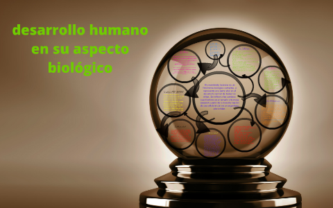 desarrollo humano en su aspecto biológico by Adriana Sanchez on Prezi