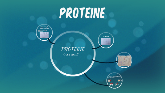 lipidi e proteine by veronica pimazzoni