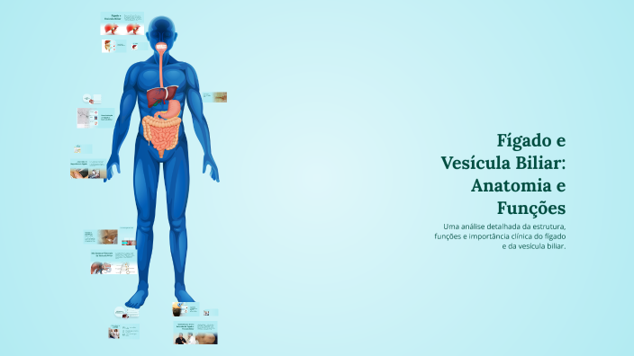 Fígado e Vesícula Biliar: Anatomia e Funções by mariana casagrande on Prezi