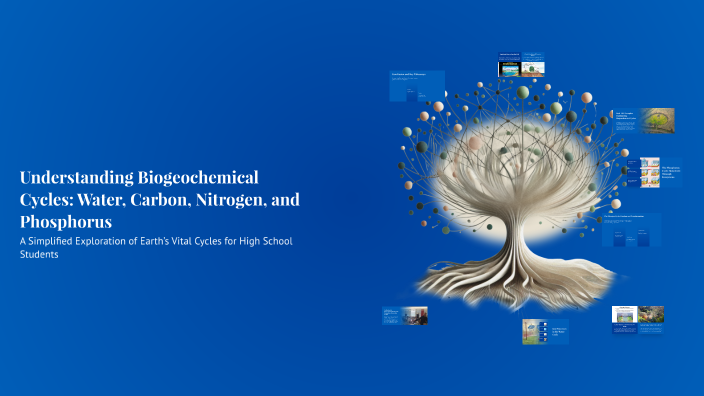Understanding Biogeochemical Cycles: Water, Carbon, Nitrogen, and ...
