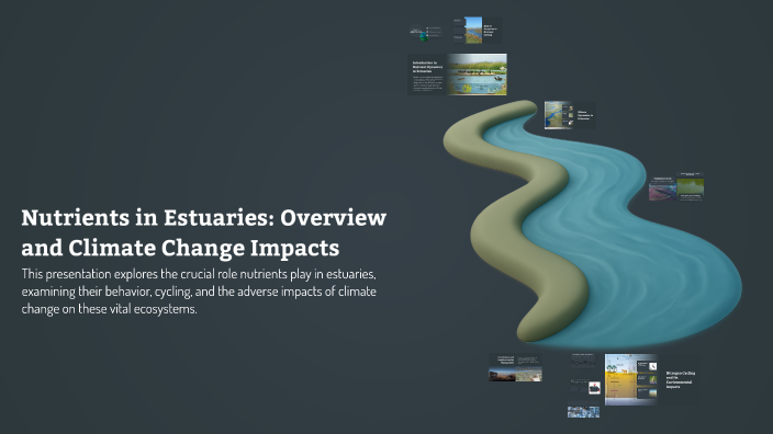 Nutrients in Estuaries: Overview and Climate Change Impacts by Kevin ...