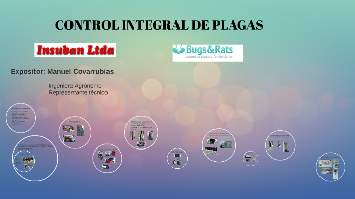 El control integral del plagas es la técnica de saneamiento by ...