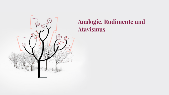Analogie, Rudimente und Atavismus by Sophie Zet on Prezi