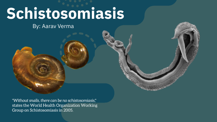 Schistosomiasis - Science Project by Aarav Verma on Prezi