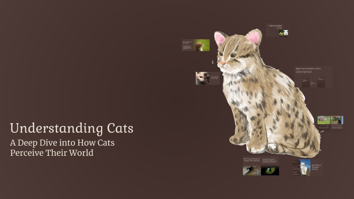 Understanding Cats by Анна А on Prezi
