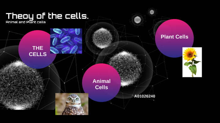 The cell by Regina Carlin on Prezi