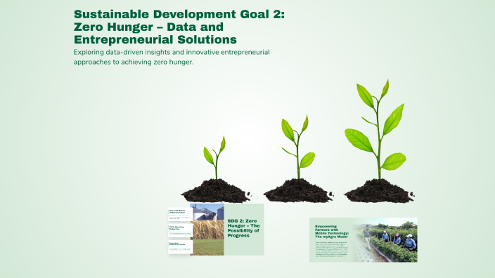 Sustainable Development Goal 2: Zero Hunger – Data and Entrepreneurial ...