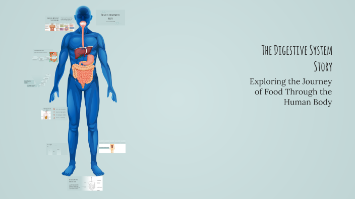 The Digestive System Story by Alyvia Stahl on Prezi