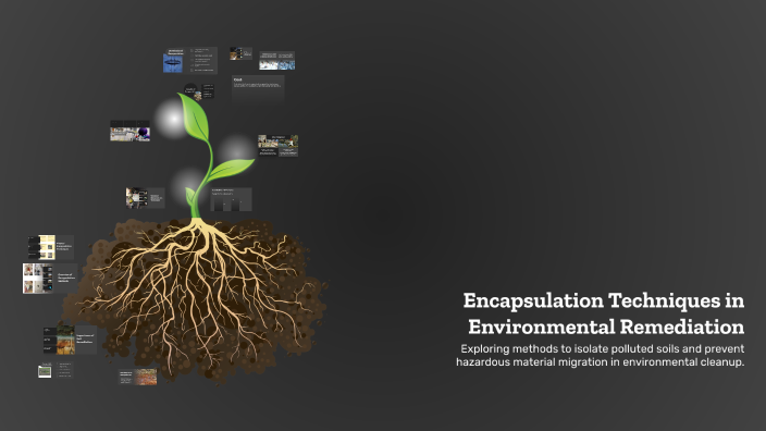 Encapsulation Techniques in Environmental Remediation by Robert Scott ...