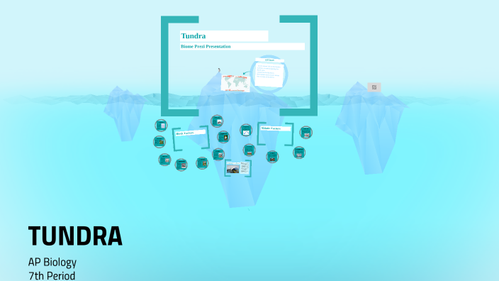 Tundra Biome Presentation by Isaias32 on Prezi