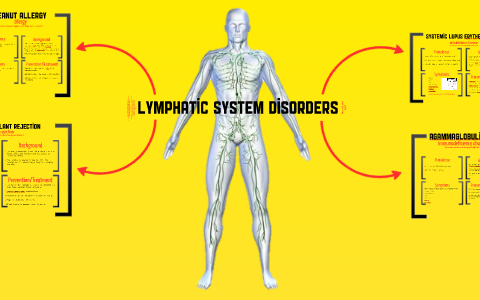 Lymphatic System Disorders by Shannon Compton on Prezi
