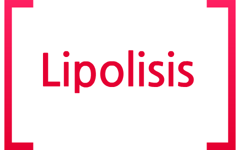 Lipolisis by Sujey Juarez on Prezi