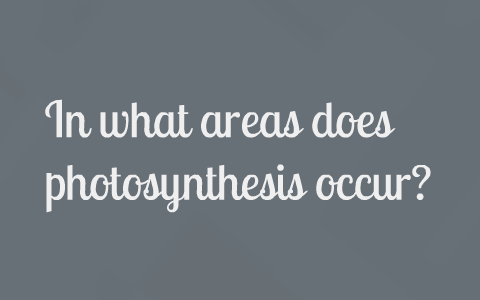 Oceanography by Christina Garibay on Prezi