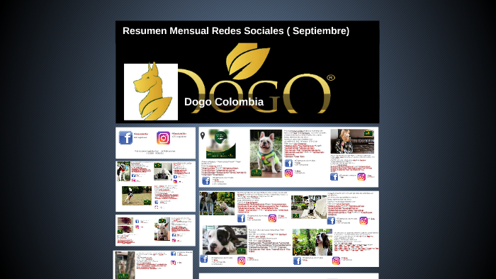 Dogo Colombia by Juan Felipe Ossa on Prezi