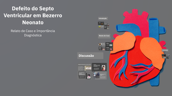 Defeito do Septo Ventricular em Bezerro Neonato by Lorrany De Almeida ...