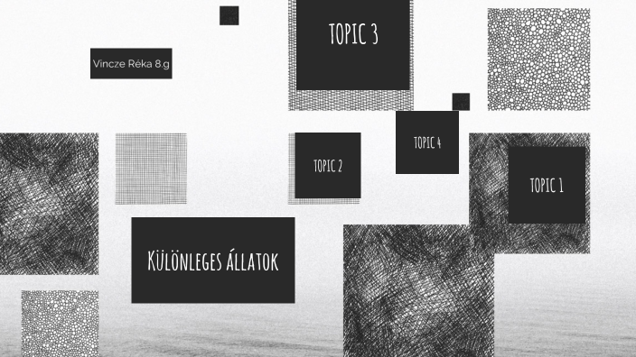 Különleges állatok by Réka Vincze on Prezi