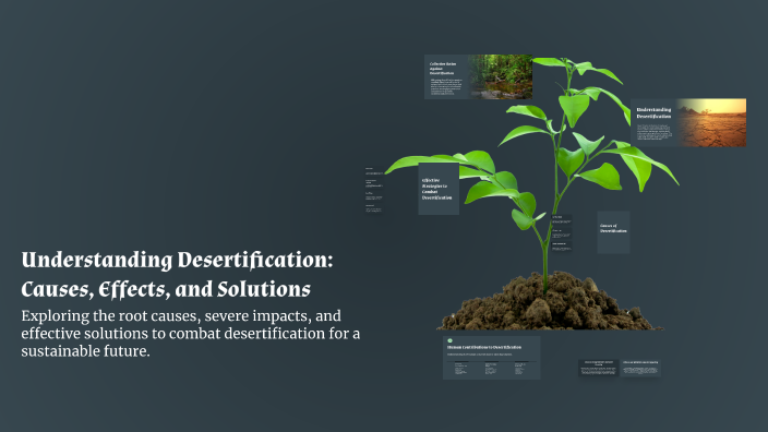 Understanding Desertification: Causes, Effects, and Solutions by ...