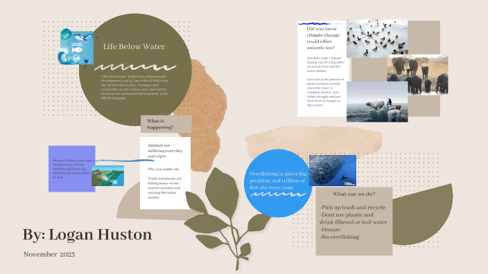 Life Below Water by Logan Huston on Prezi