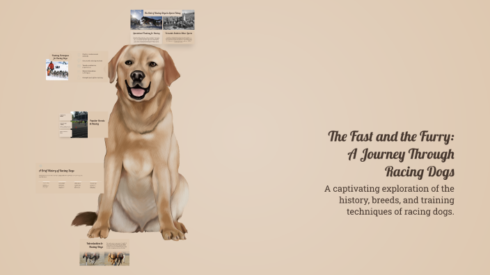The Fast and the Furry: A Journey Through Racing Dogs by Ted Lee on Prezi