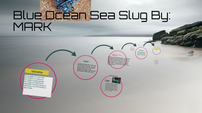 Presentation :P Glaucus Atlanticus by Mark Mangune on Prezi