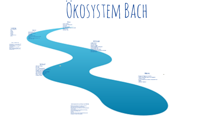 Ökosystem Bach by Angelina Bünning on Prezi