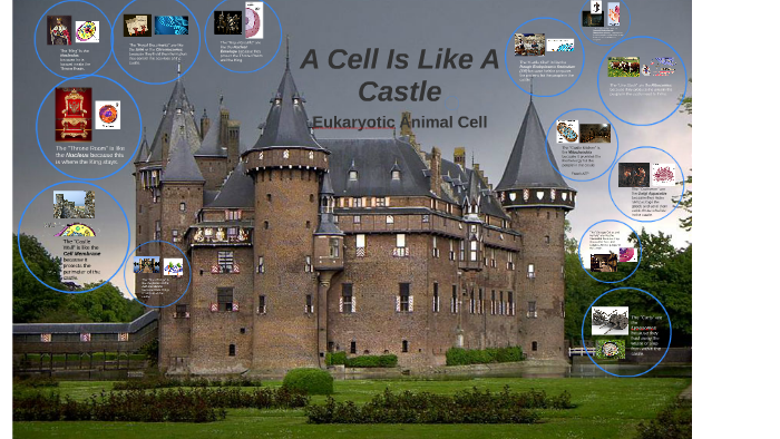 A Cell Is Like A Castle by Amber Johnson on Prezi