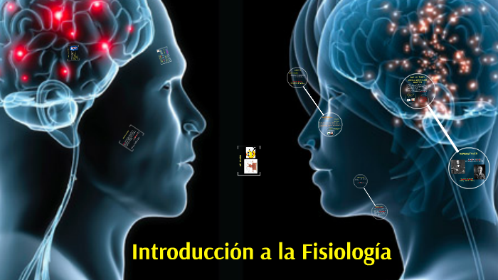 introduccion a la fisiología by Rub Mendoza on Prezi