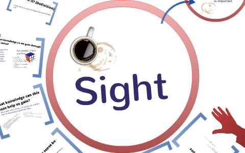 TOK Sense Perception Project by Shubham Thakkar