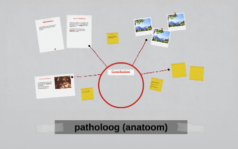 patholoog (anatoom) by on Prezi