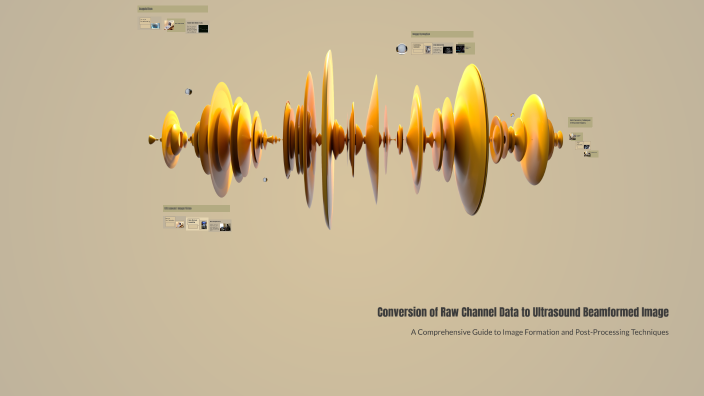 Conversion of Raw Channel Data to Ultrasound Beamformed Image by ...