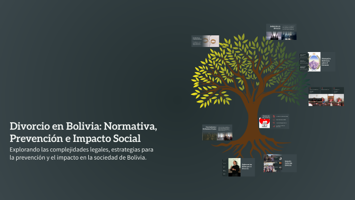 Divorcio en Bolivia: Normativa, Prevención e Impacto Social by Norma ...