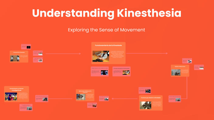 Understanding Kinesthesia by Camila Lira on Prezi
