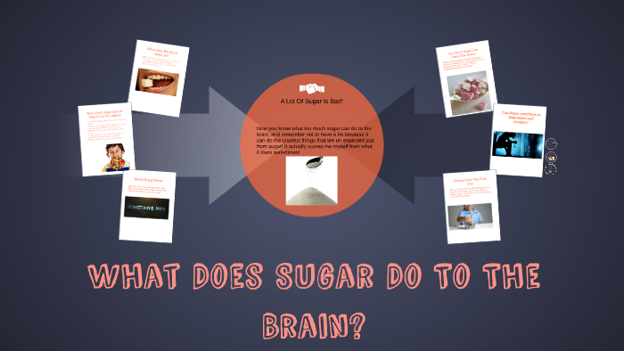 What Does Sugar Do To The Brain? by Abbie Betts on Prezi