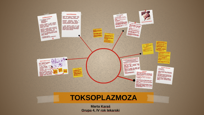 TOKSOPLAZMOZA by Michał Kościański on Prezi