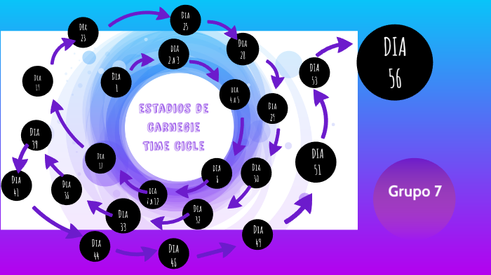 Estadios de Carnegie by SAMARA SHEK TOFINO on Prezi