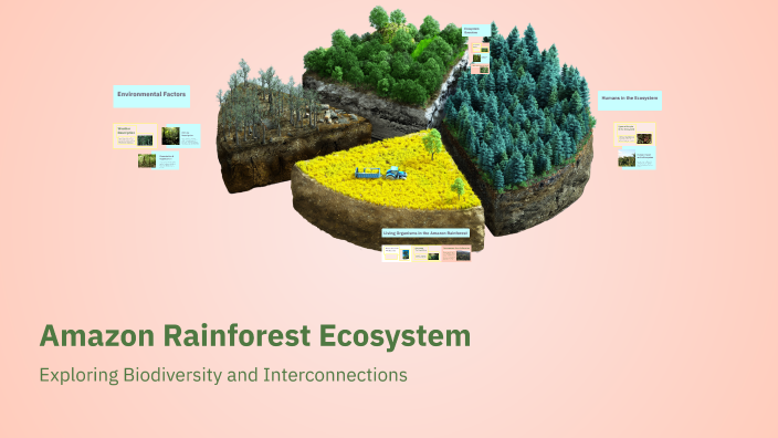 Amazon Rainforest Ecosystem by Cheyanne Johnson on Prezi