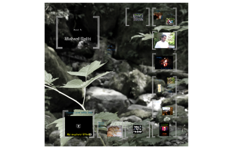 About Michael Reitz by Michael Reitz on Prezi
