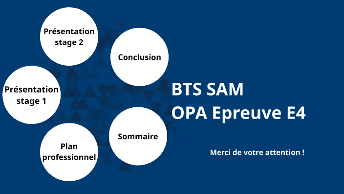 BTS SAM - épreuve E4 - présentation mission stage by Maximilien Repingon on Prezi