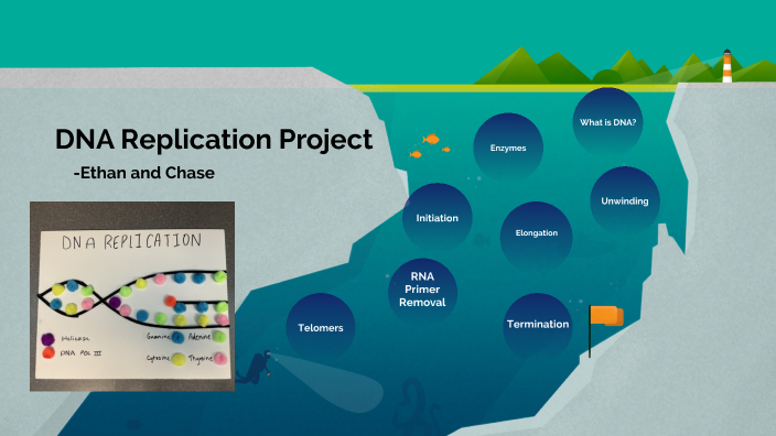 DNA Replication Project - Ethan and Chase by Chase Morhart on Prezi