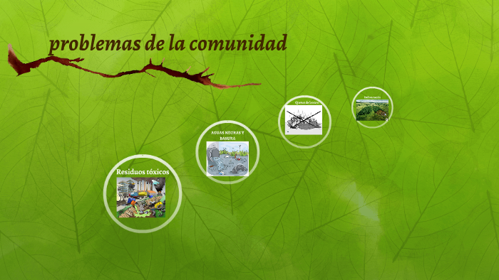 problemas de la comunidad by Elen Martinez on Prezi