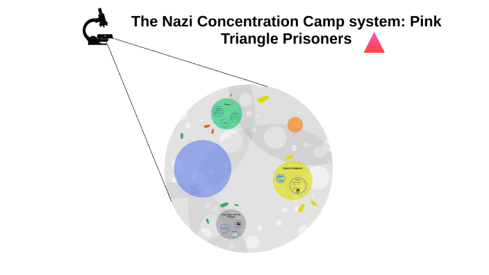 The Nazi Concentration Camp System: Pink Triangle prisoners by ...