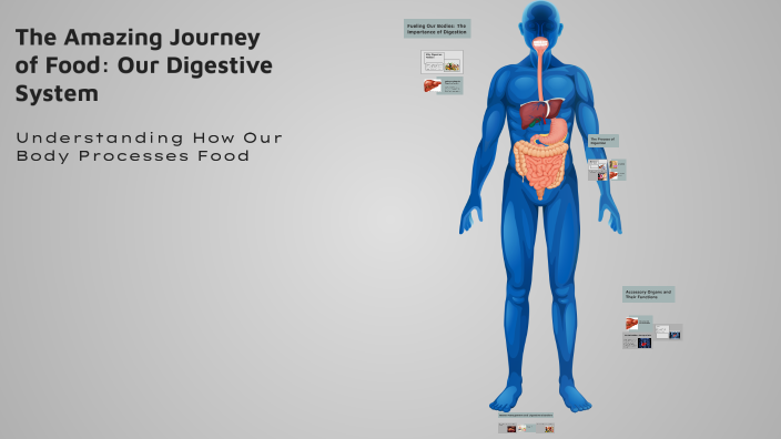 The Amazing Journey of Food: Our Digestive System by Rashi Patel on Prezi