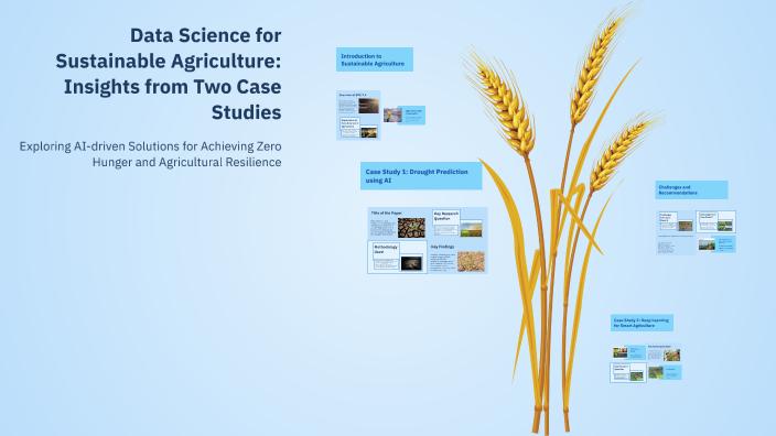 Data Science for Sustainable Agriculture: Insights from Two Case Studies by Ali Usama on Prezi