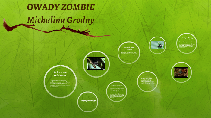 owady zombie by Michalina Grodny on Prezi