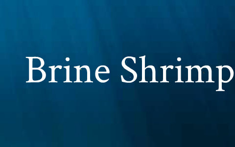 Brine Shrimp Pollution by joshua corona on Prezi