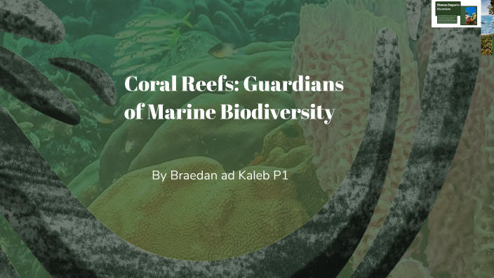 Coral Reefs: Guardians of Marine Biodiversity by Braedan Scherwitz on Prezi